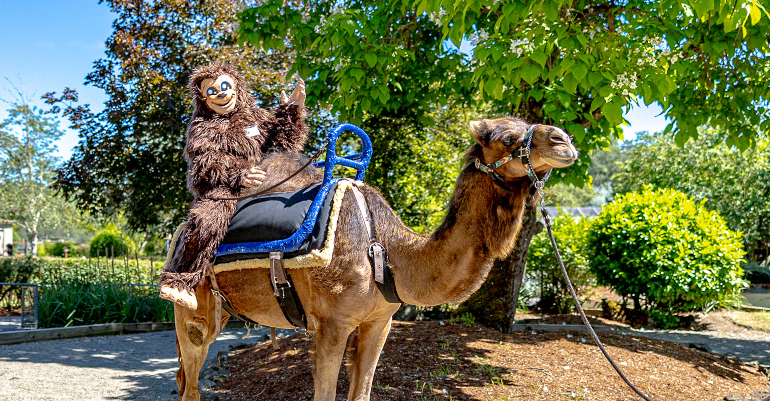 Spa - Seven Feathers Casino